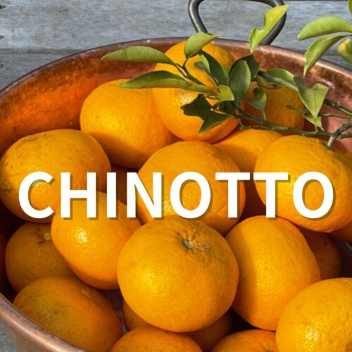 夏みかんでキノット作り | 暮らしのレシピ